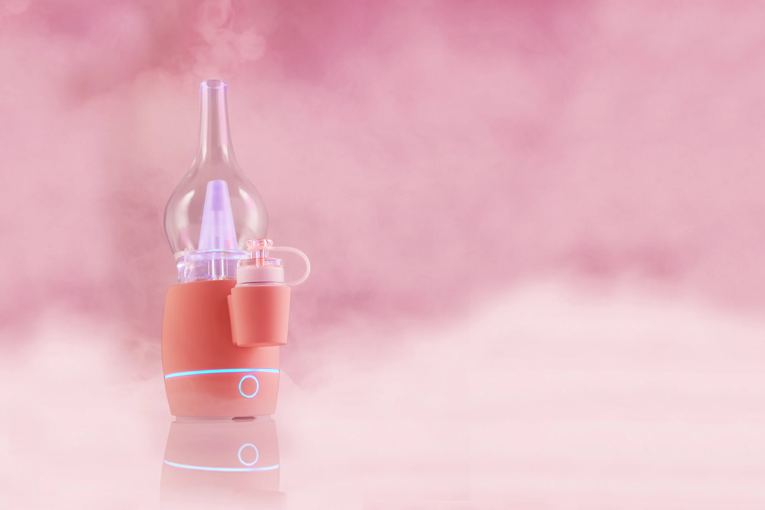 Debbie Rotman Photography