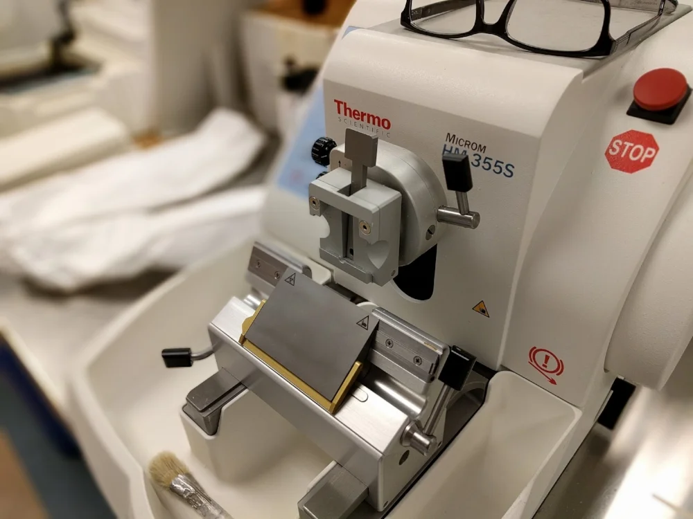 UCSF Dermatopathology & Oral Pathology Service — Resources