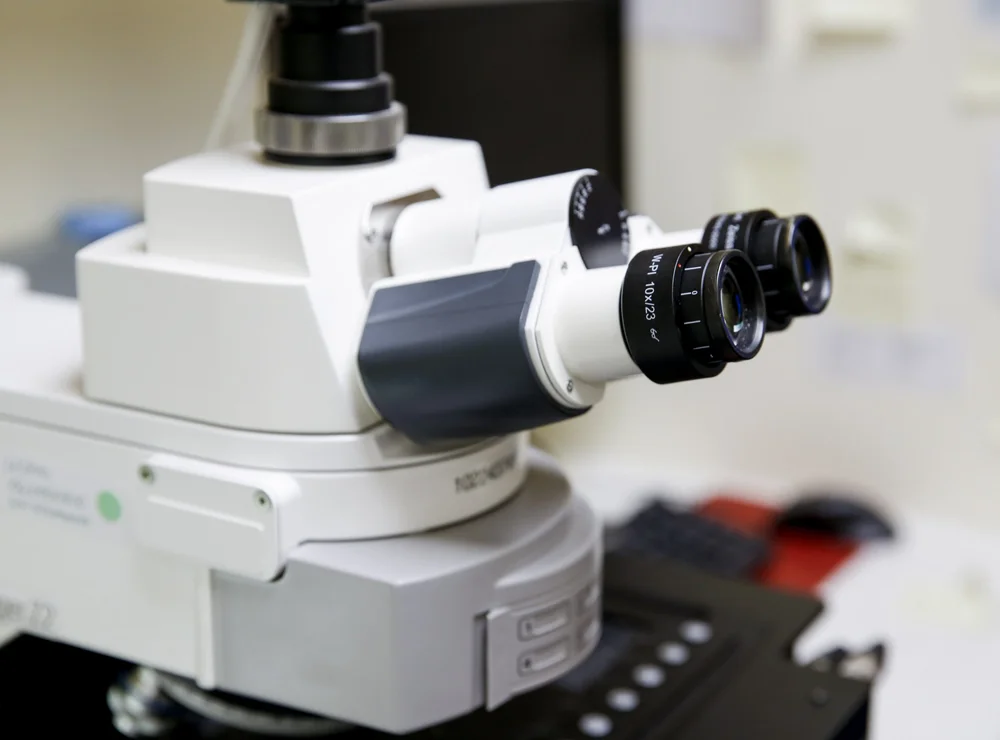UCSF Dermatopathology & Oral Pathology Service — Visiting Scholars