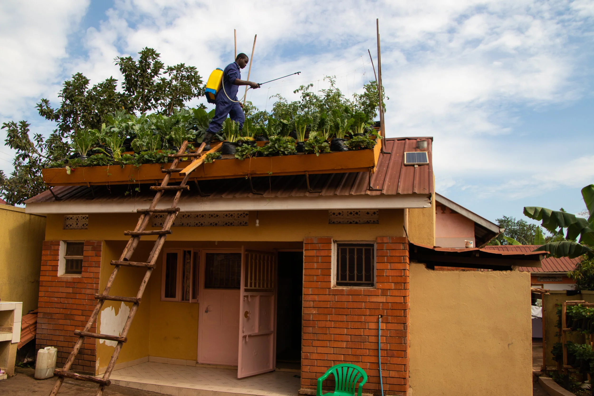 Nils Adler - Independent Journalist