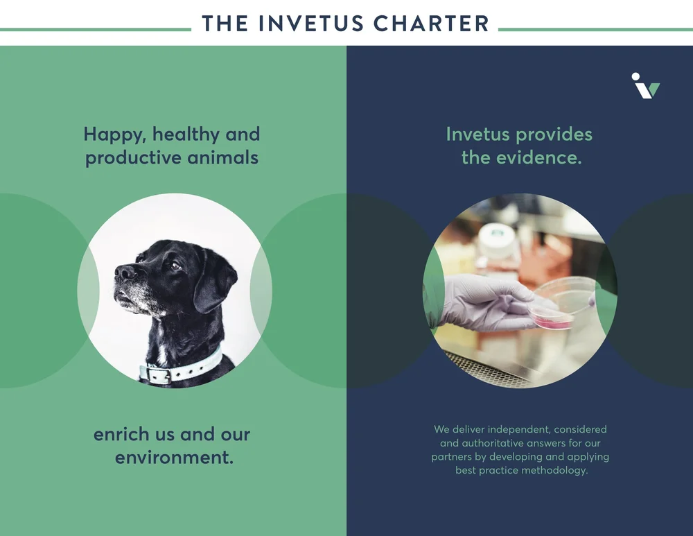 About Invetus | Veterinary contract research organisation — Invetus