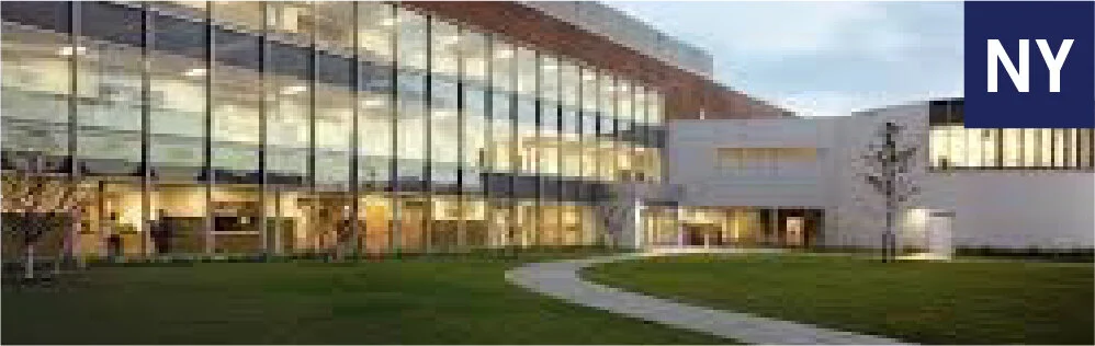 College Steps | Build Your Future