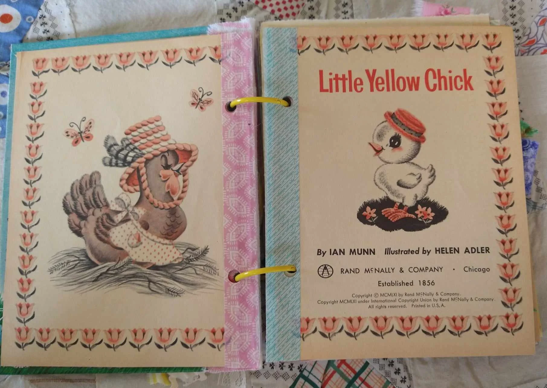 A Spring Chick! — Sanctuary Wool - Homestead Wool & Gift Farm