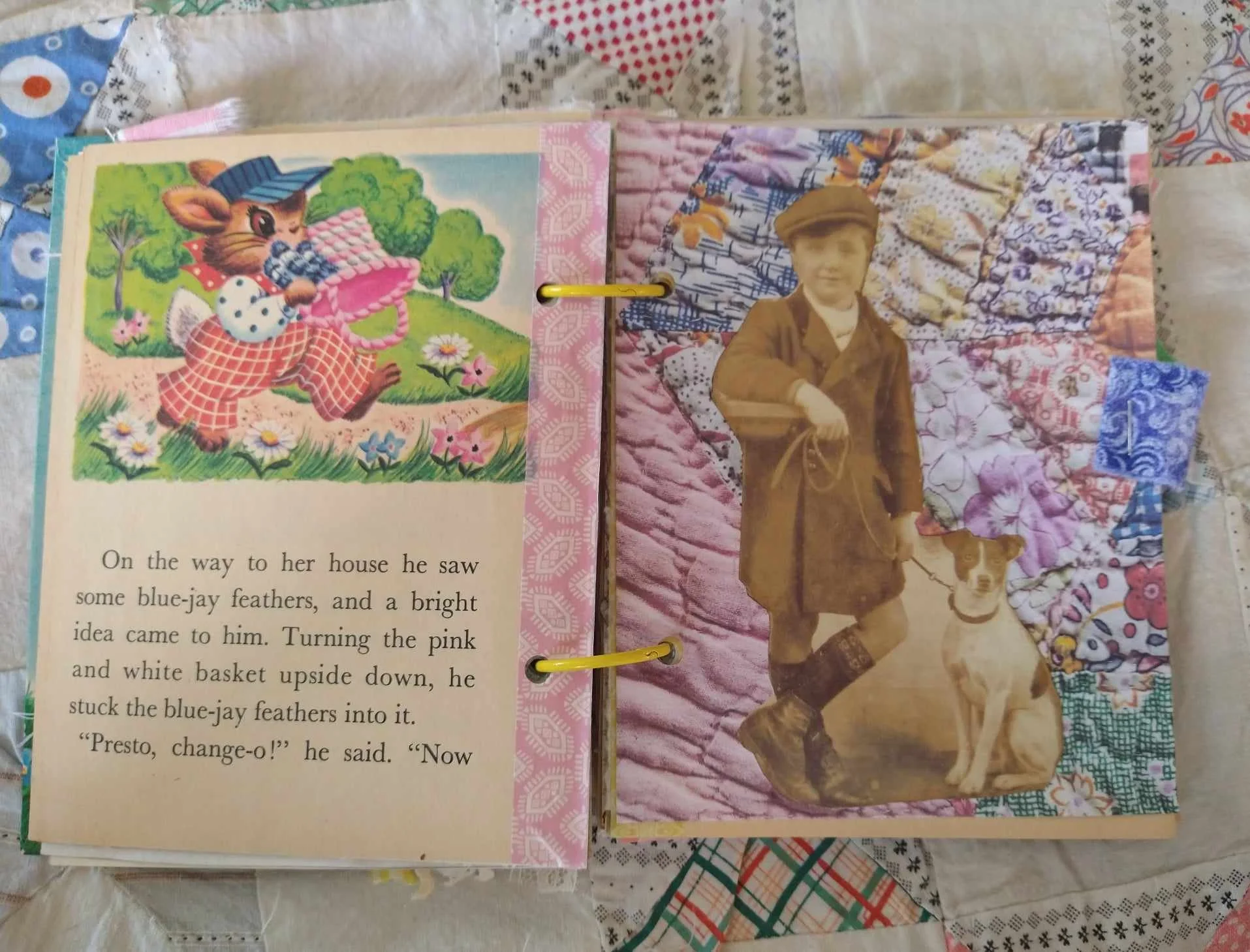 A Spring Chick! — Sanctuary Wool - Homestead Wool & Gift Farm