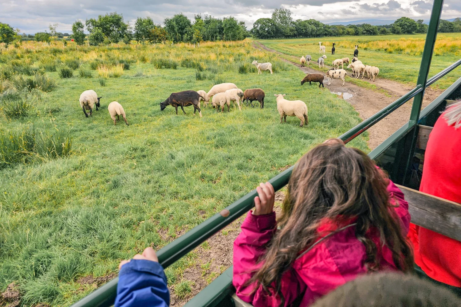 Walby Farm Park | Exploring Cumbria | Me Becoming Mum