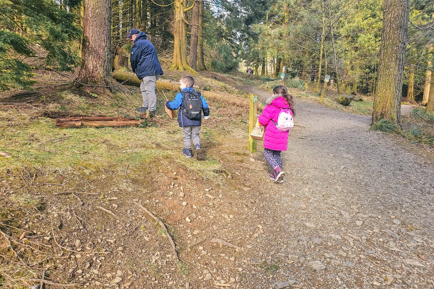 Whinlatter Forest | Exploring Cumbria | Me Becoming Mum