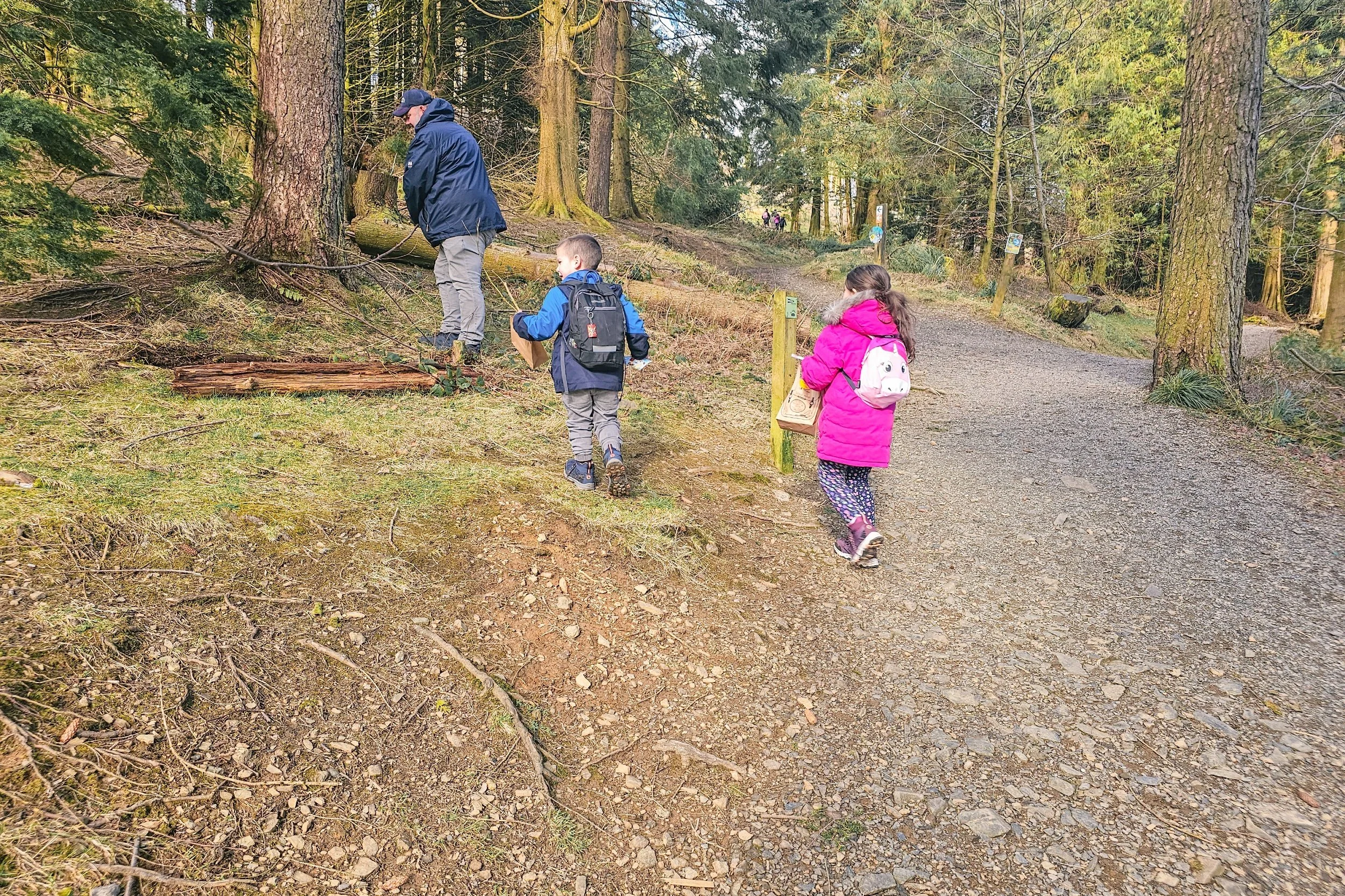 Whinlatter Forest | Exploring Cumbria | Me Becoming Mum