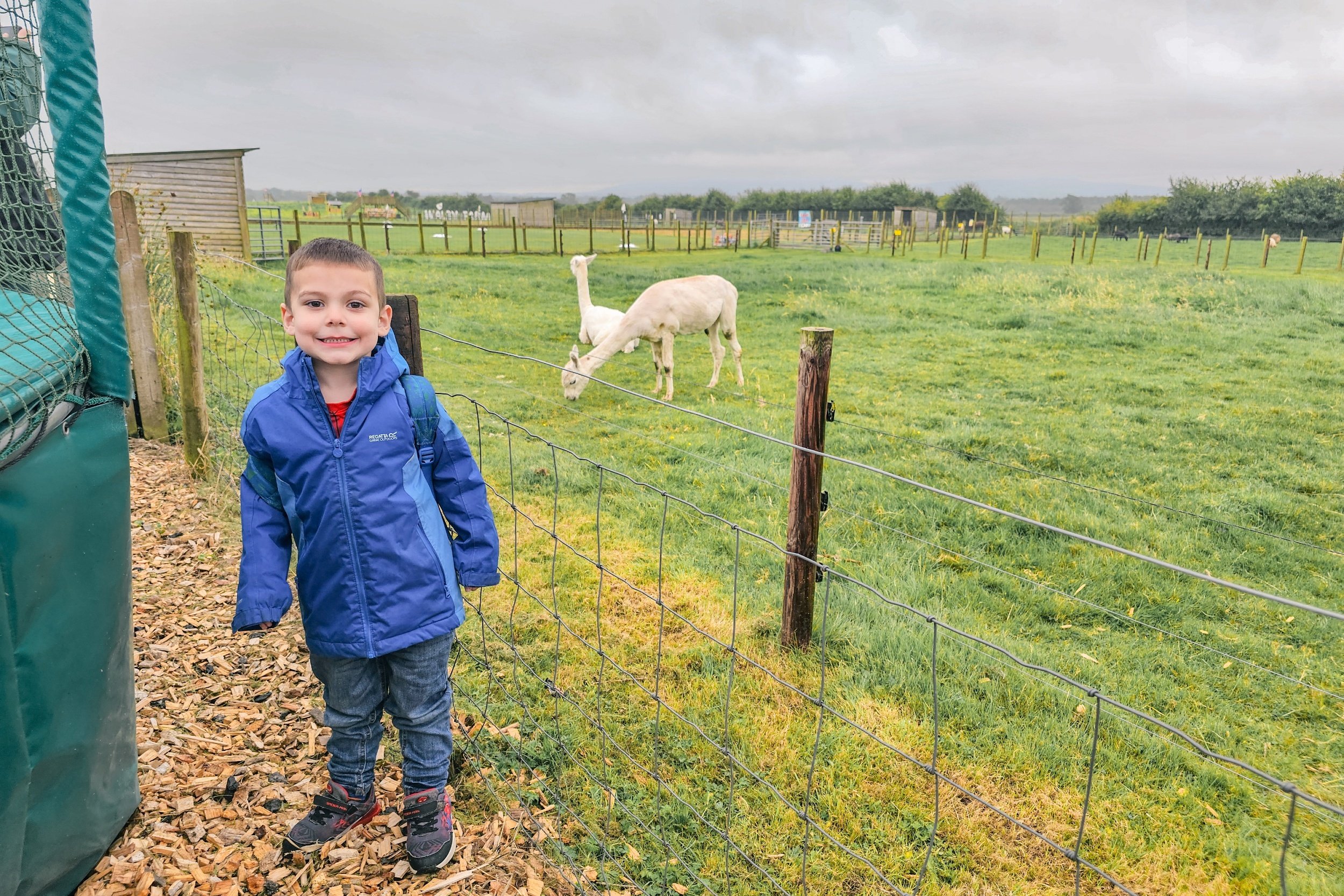 Walby Farm Park | Exploring Cumbria | Me Becoming Mum