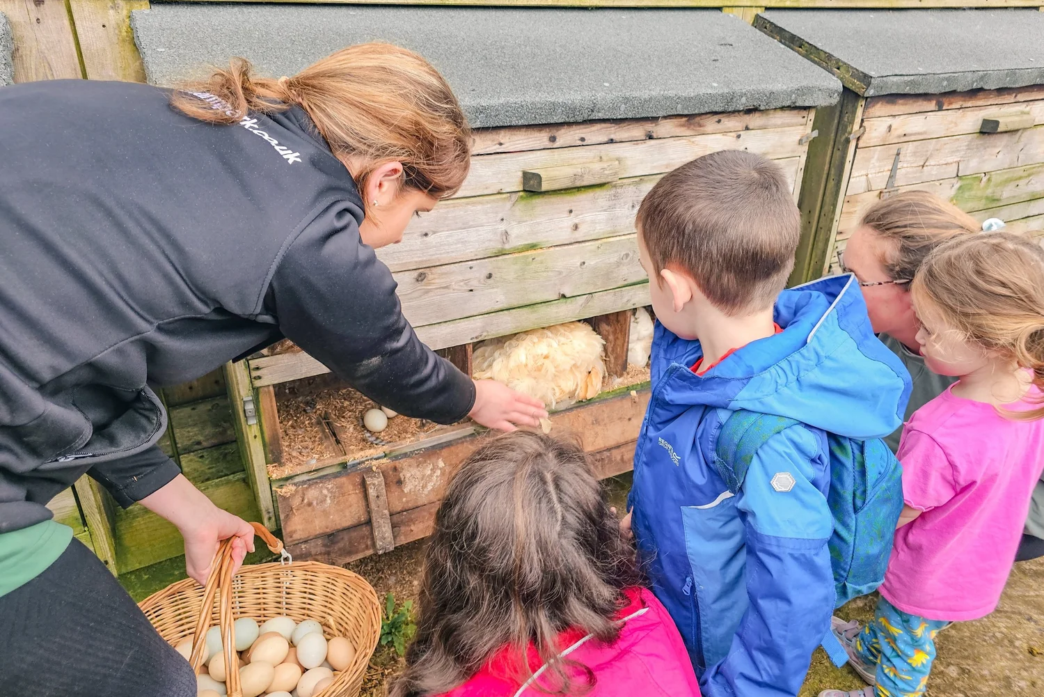 Walby Farm Park | Exploring Cumbria | Me Becoming Mum