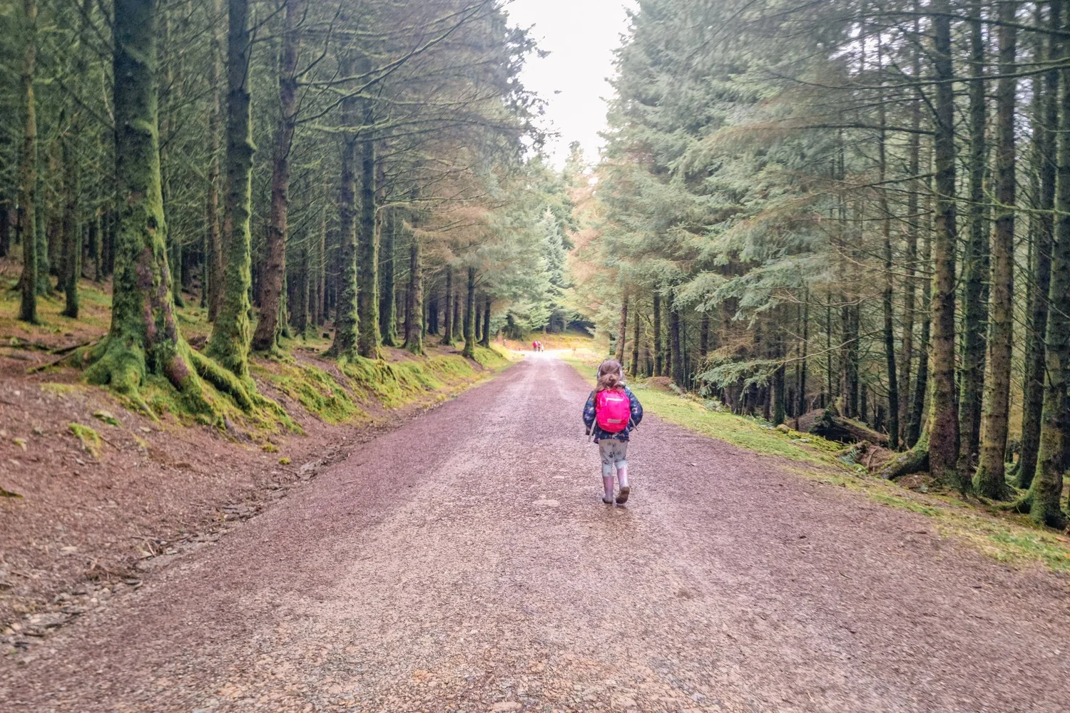 Whinlatter Forest | Exploring Cumbria | Me Becoming Mum