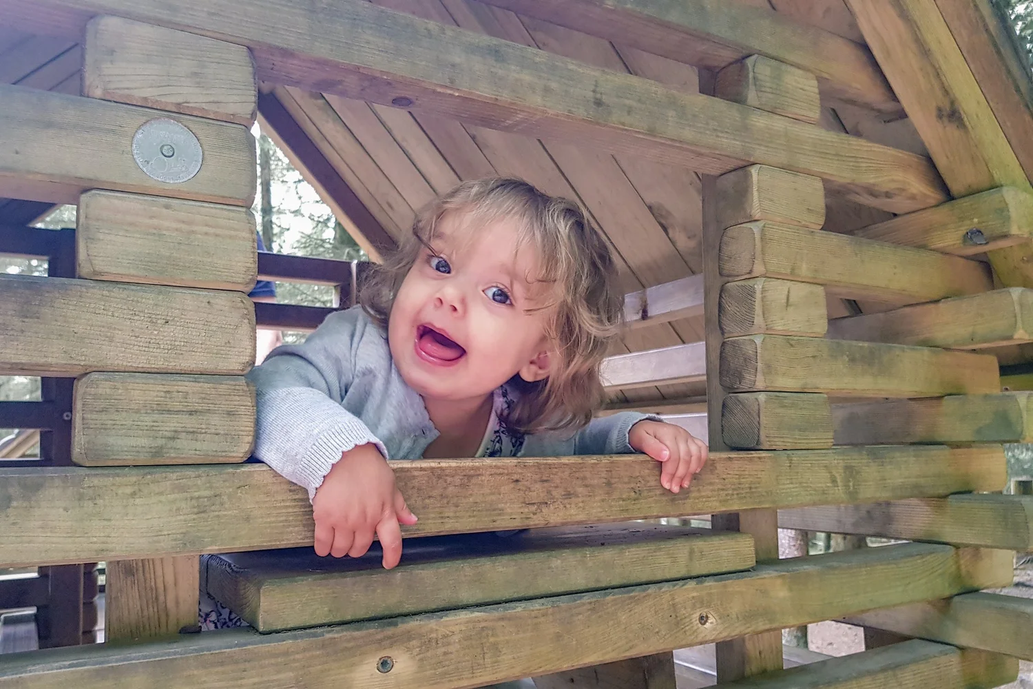 Whinlatter Forest | Exploring Cumbria | Me Becoming Mum