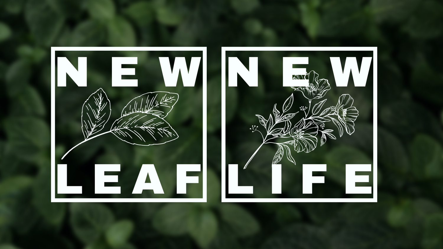 New Leaf New Life | East Pickens Baptist Church