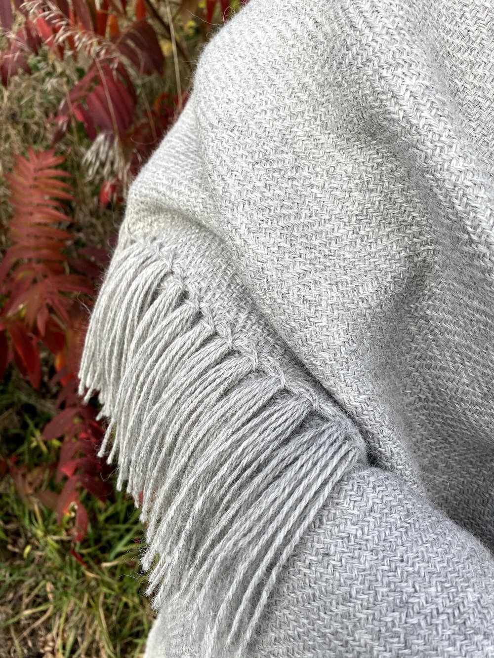 Luna Fiber Studio