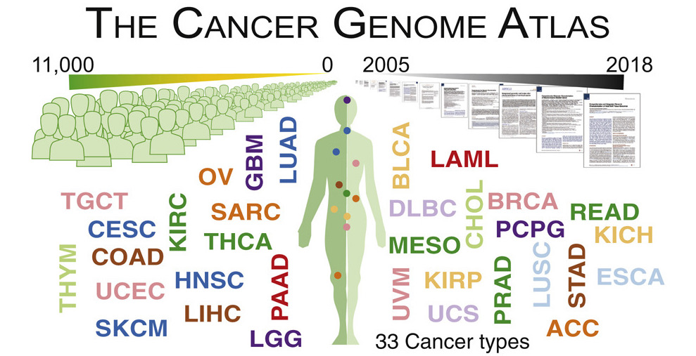 Partnerships — Ding Lab