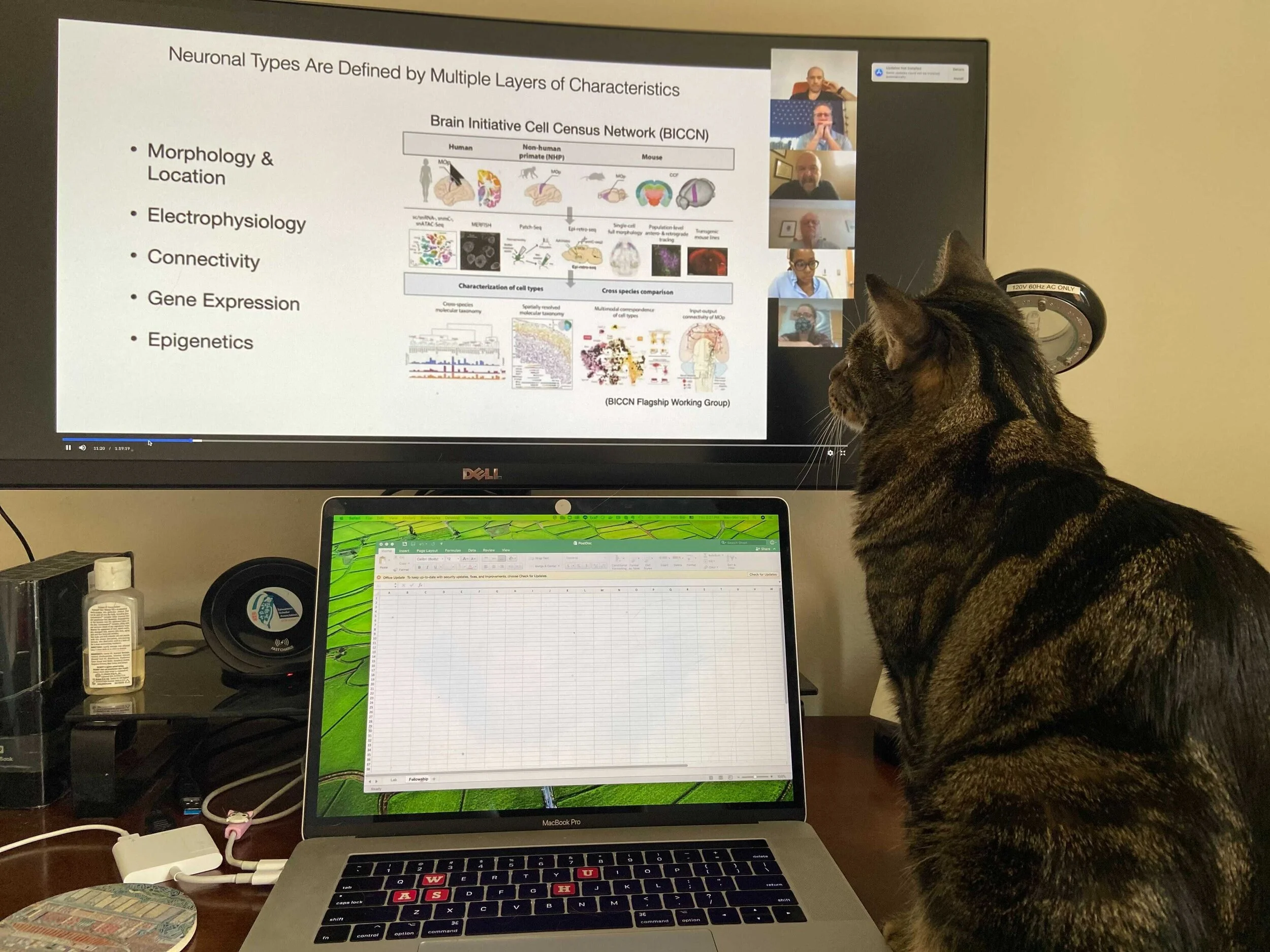 Lab Associates — Ding Lab