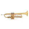 The Brass Family — All Newton Music School