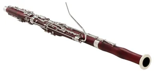 The Woodwind Family — All Newton Music School