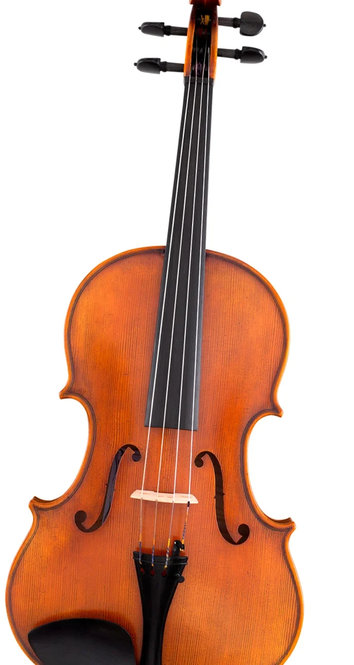 The String Family — All Newton Music School