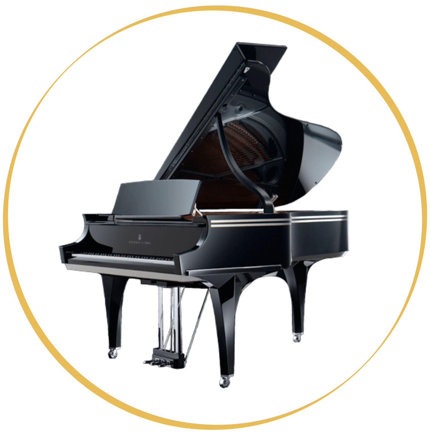 The Woodwind Family — All Newton Music School