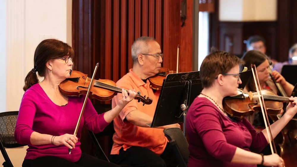 The String Family — All Newton Music School