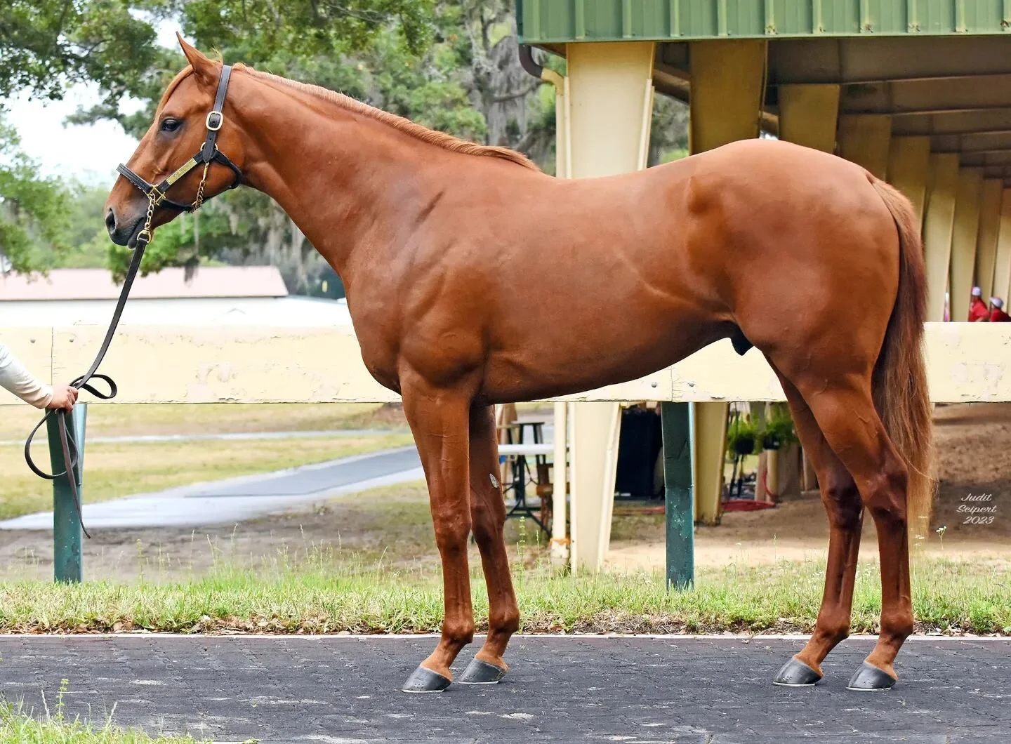Ironhorse Racing Stable