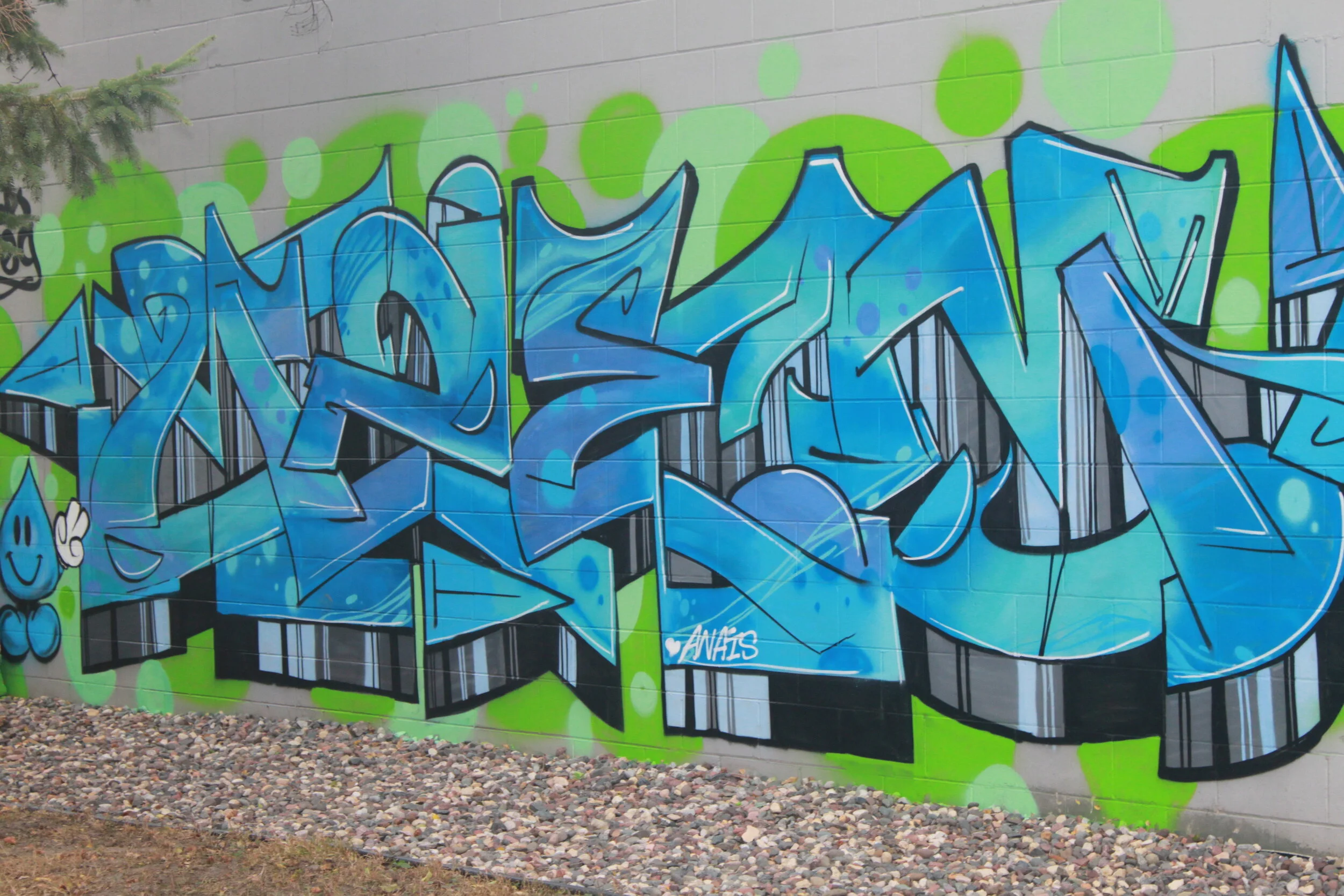 Our Work — Indigenous Roots