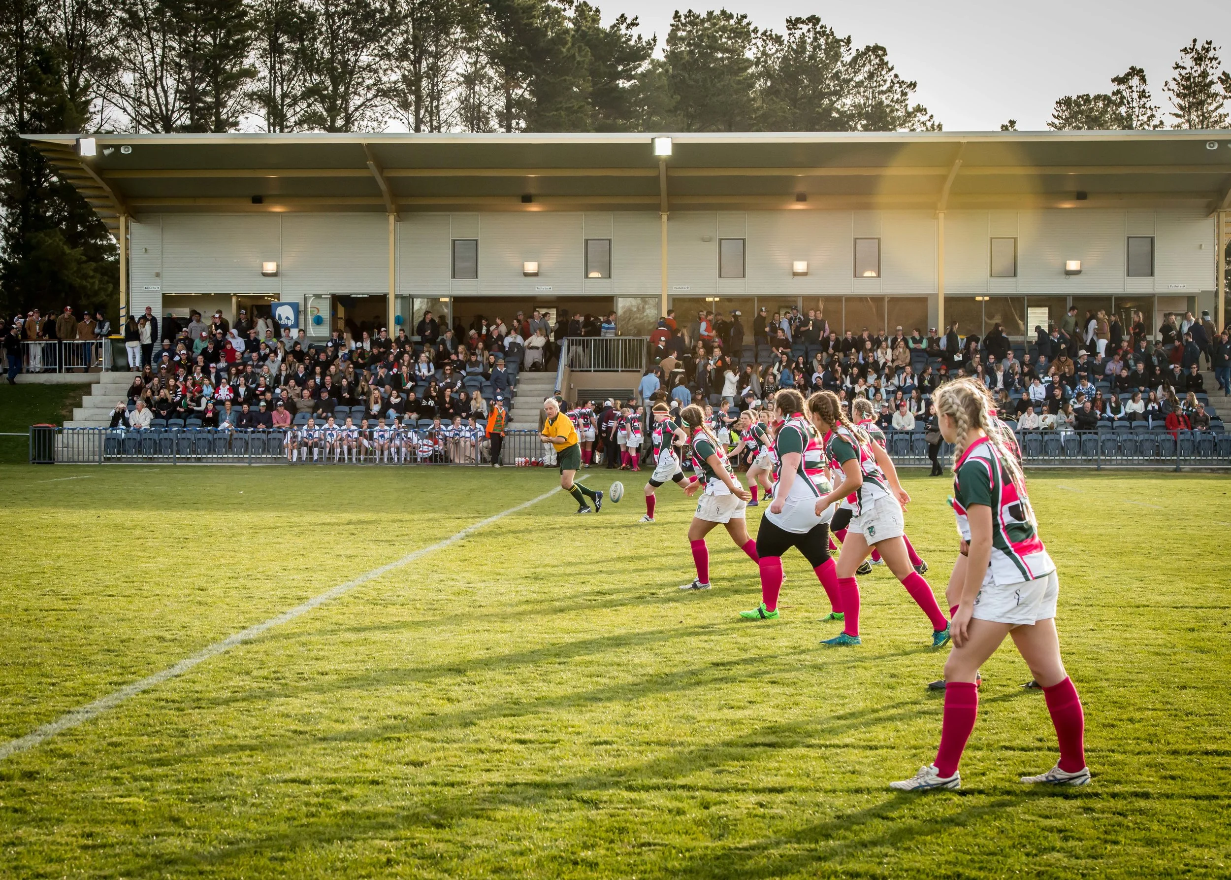 About the Foundation — Robb College Alumni