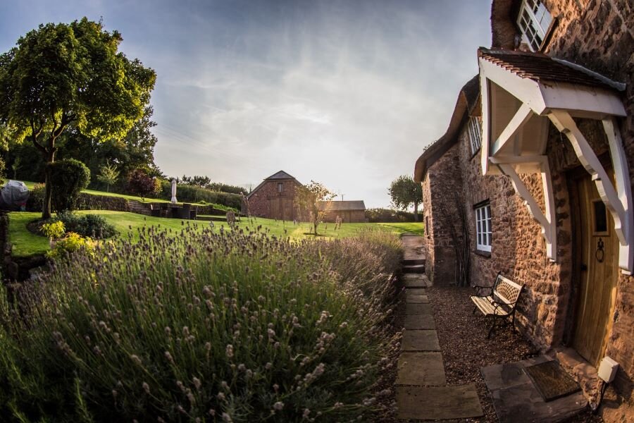 The Pros and Cons of Moving Your Family to the Countryside