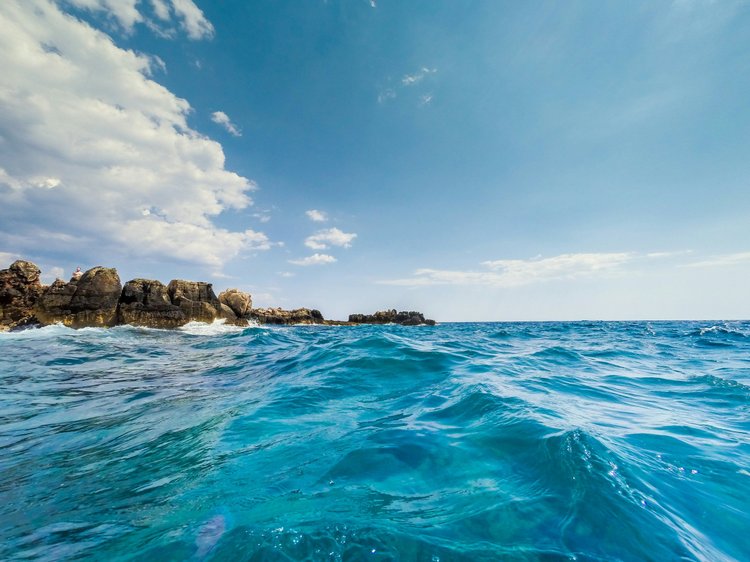 What are Best Fish Names in the Italian Language