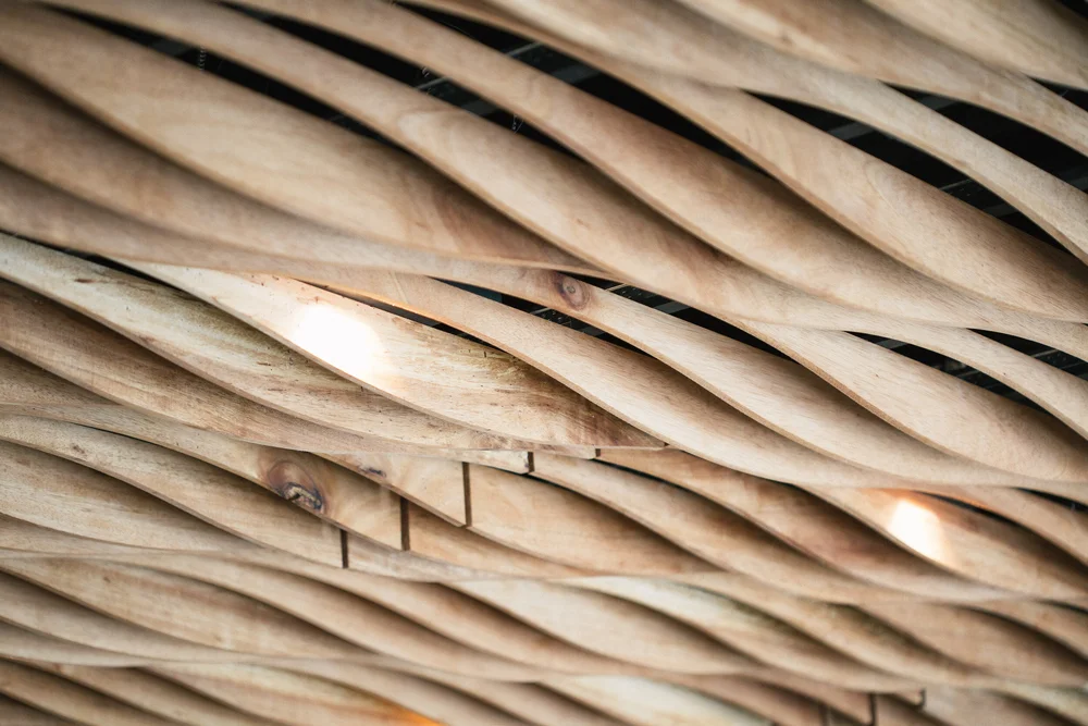 Elemental Excelerator Wave Ceiling — the albizia project