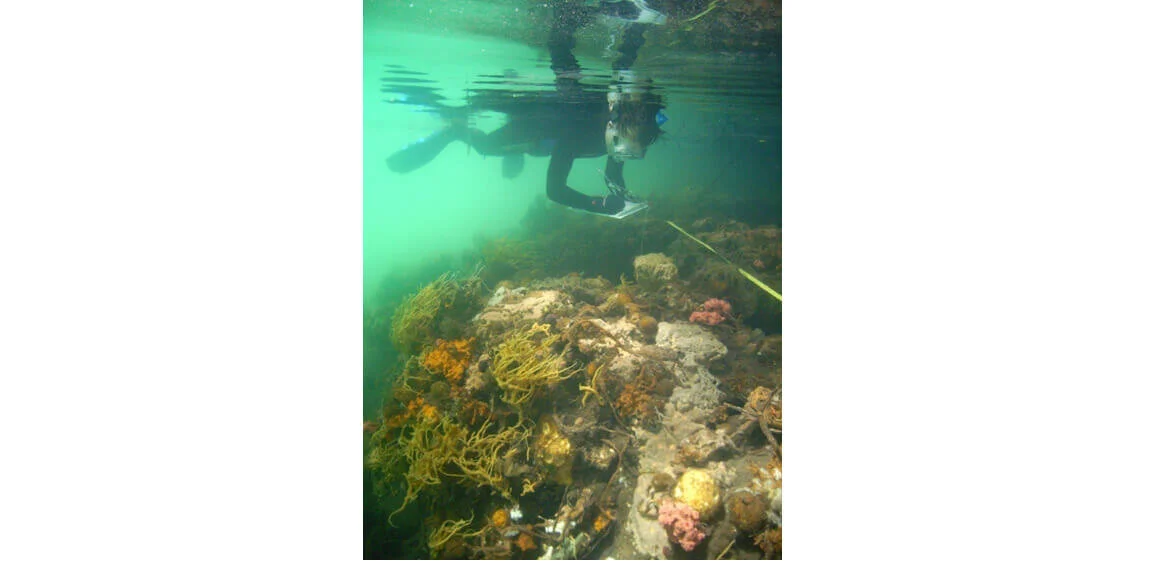 Marine lakes — Becking Lab