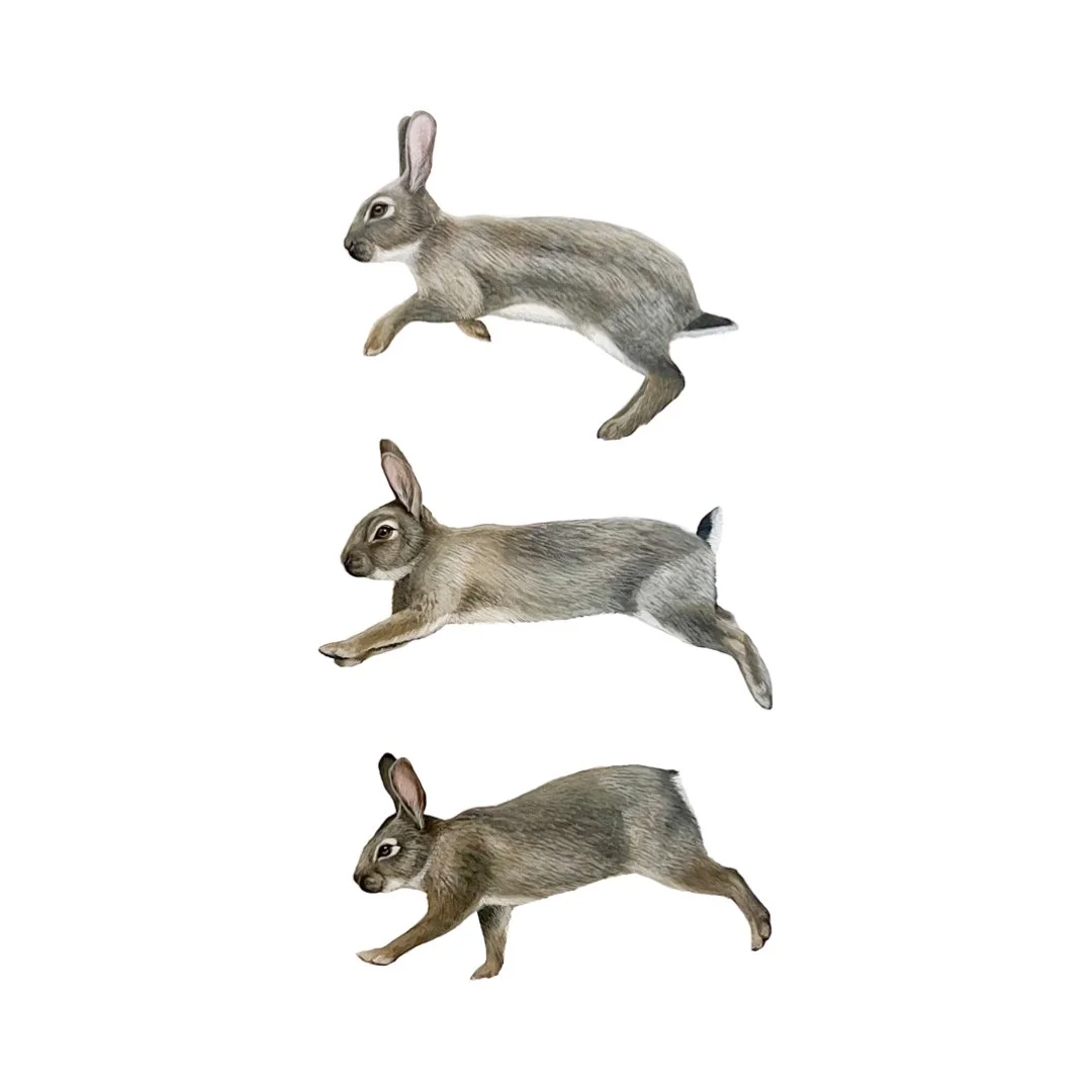 Heather Cook — Blue Crow Gallery