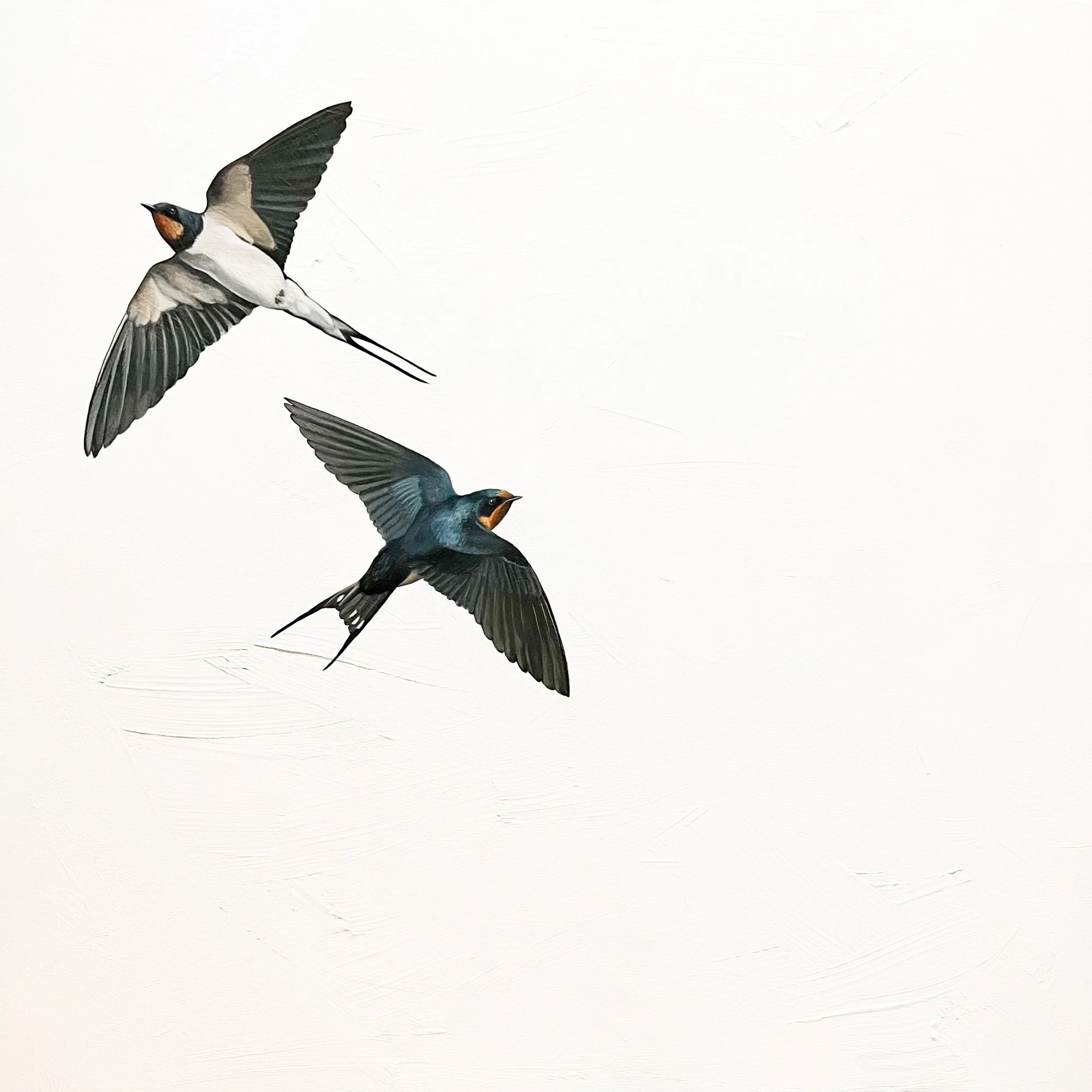 Heather Cook — Blue Crow Gallery