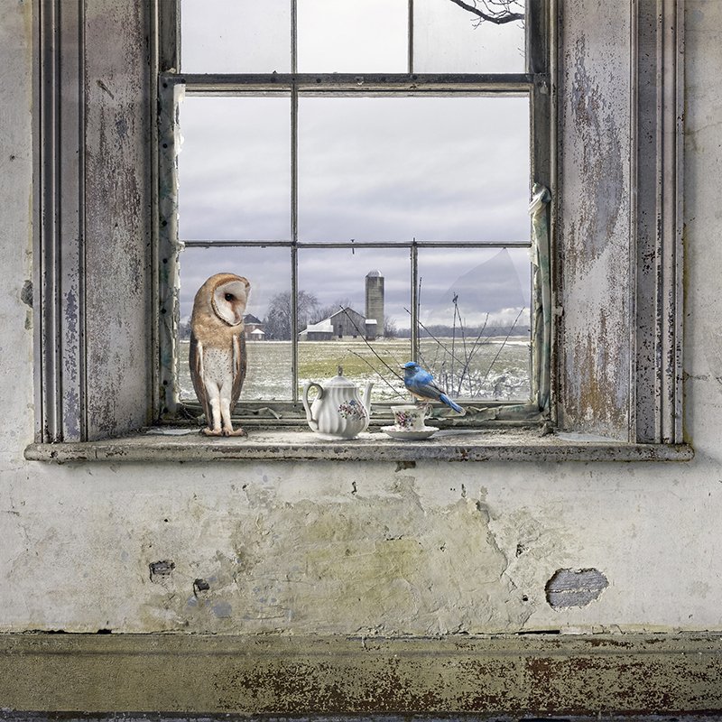 Morgan Jones — Blue Crow Gallery