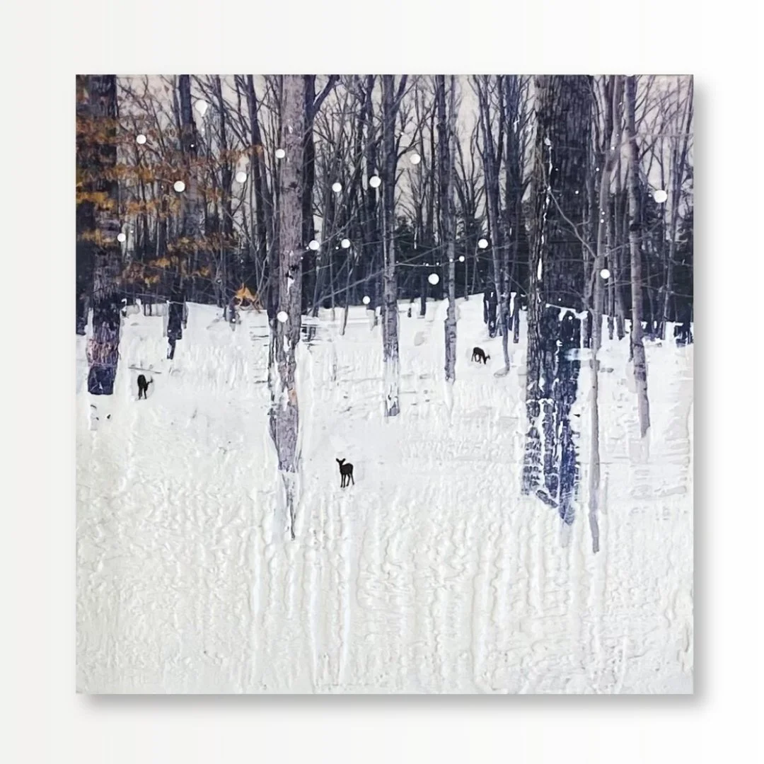 Ann Shier — Blue Crow Gallery