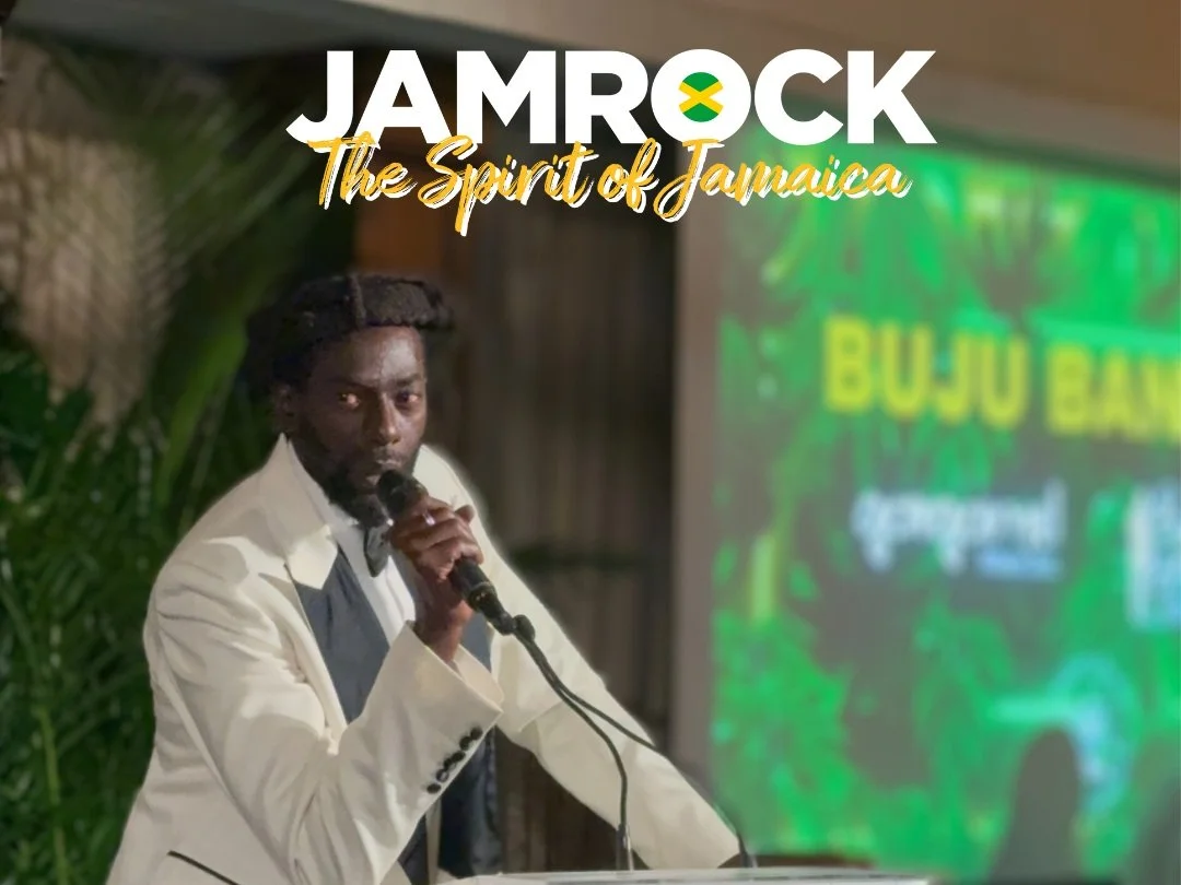 Jamrock Gala — Helping Hands Jamaica Foundation
