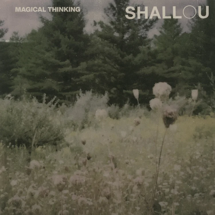 shallou