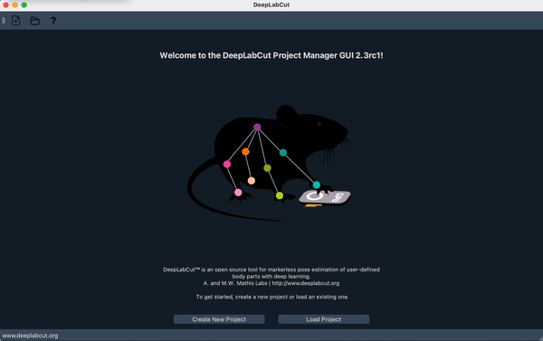 Interactive Project Manager GUI — DeepLabCut