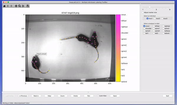 DeepLabCut/docs/maDLC_UserGuide.md at main · DeepLabCut/DeepLabCut · GitHub