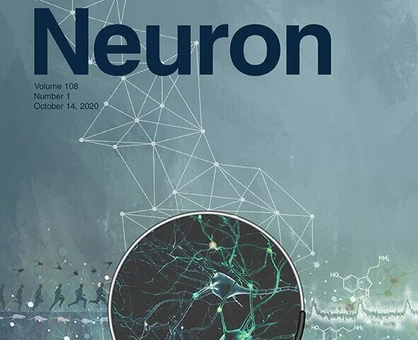 Publications — The Mathis Lab of Adaptive Motor Control