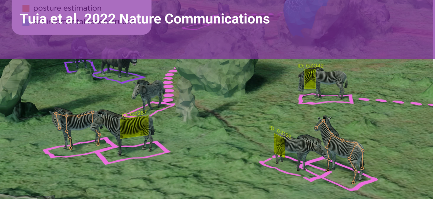 The Mathis Lab of Adaptive Intelligence