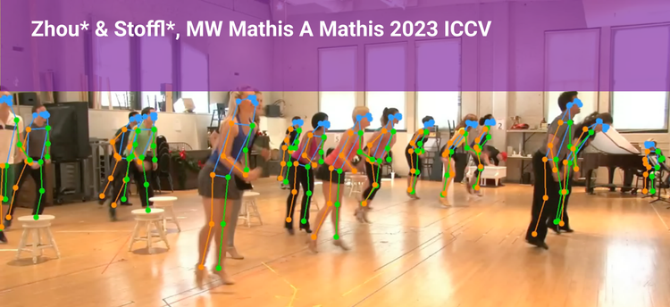 The Mathis Lab of Adaptive Intelligence