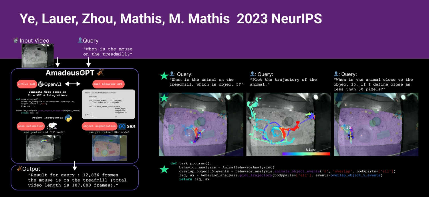 The Mathis Lab of Adaptive Intelligence