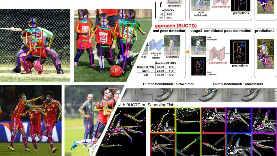 Publications — The Mathis Lab of Adaptive Intelligence
