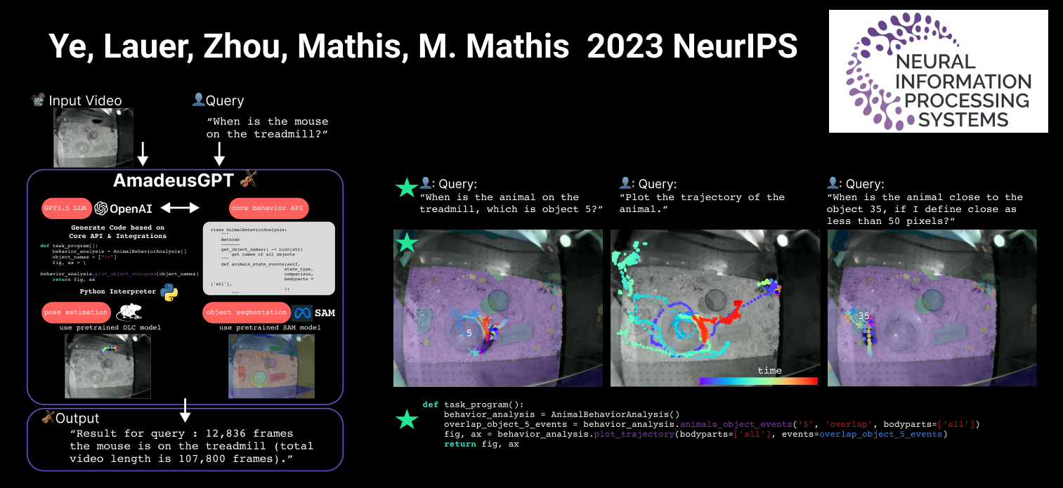 Publications — The Mathis Lab of Adaptive Intelligence