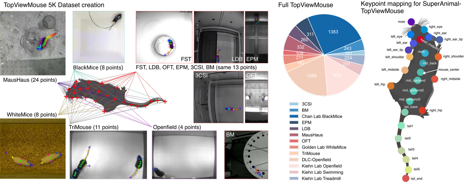 DeepLabCut — The Mathis Lab of Adaptive Intelligence
