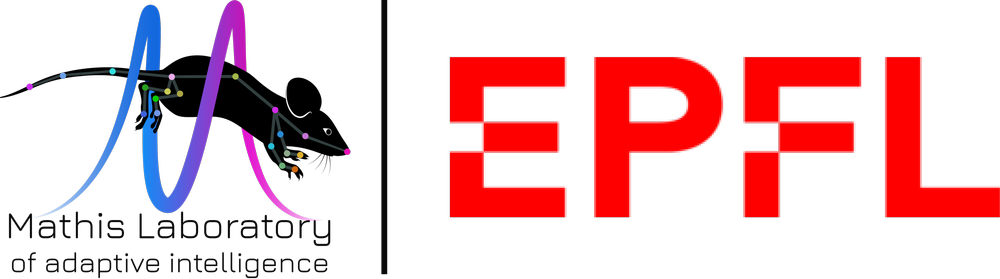 The Mathis Lab of Adaptive Intelligence