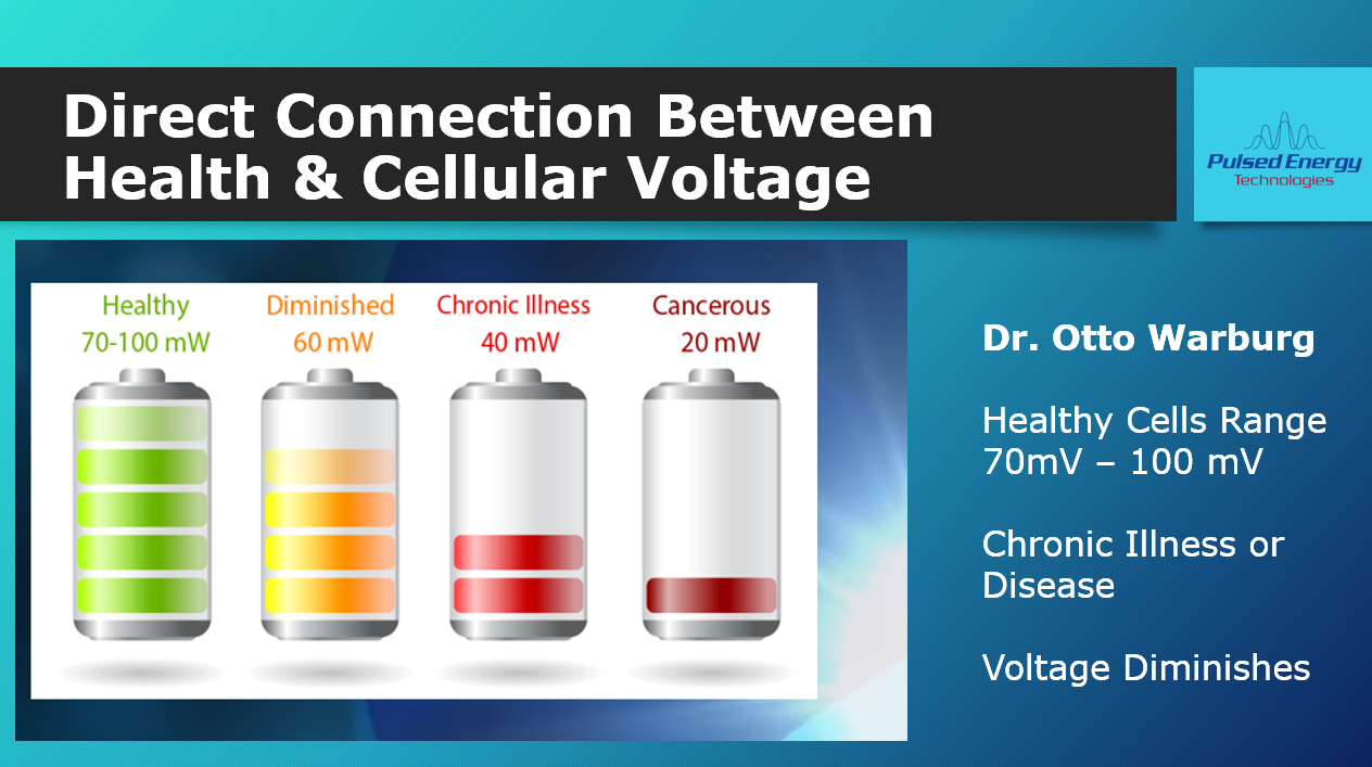 PEMF — CLOUD-9 Float & Wellness