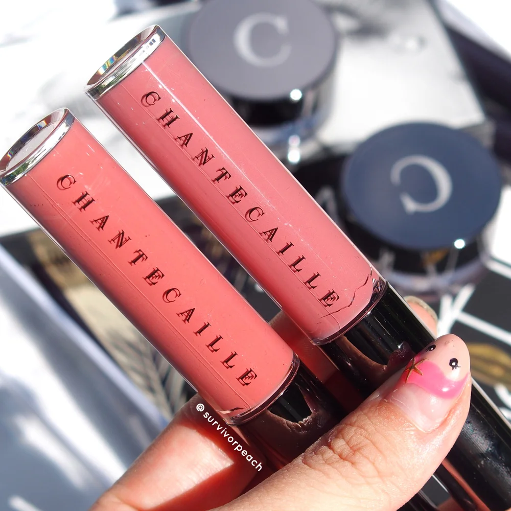 Chantecaille Matte Chic Liquid lipsticks & Poudre Lumiere highlighter ...