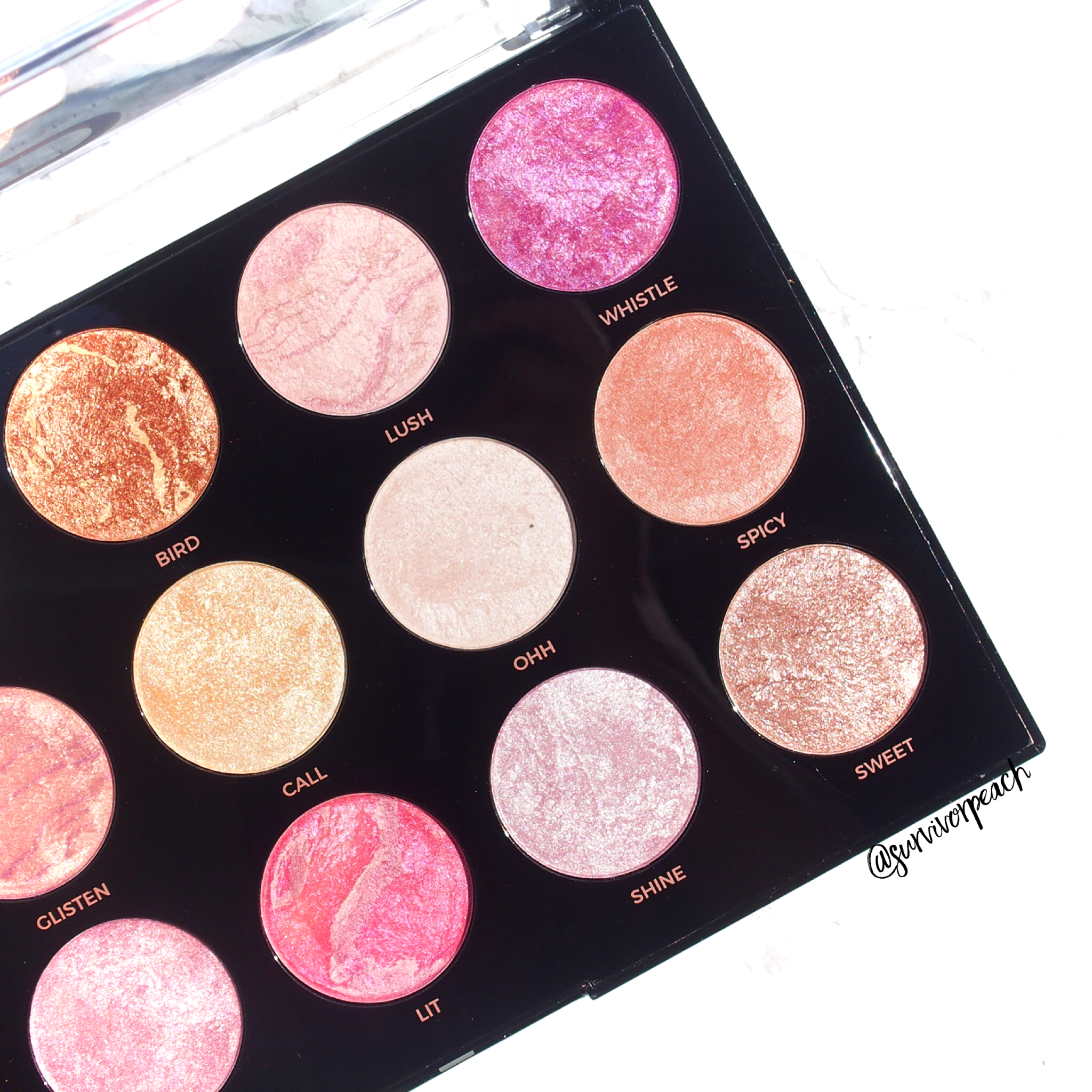Makeup Revolution Pro HD Amplified Get Baked Palette swatches ...